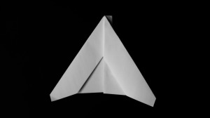 DELTA WING - PAPER PLANE DEPOT